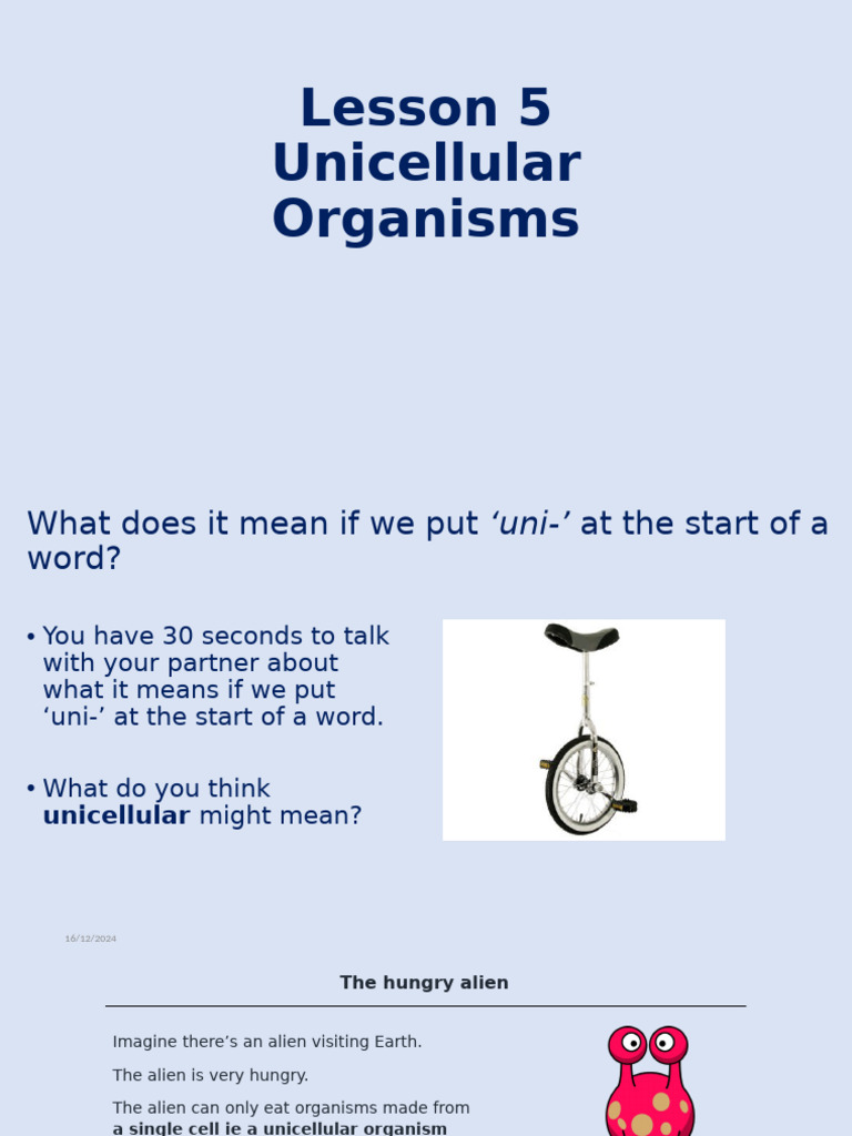 Lesson_6_Unicellular_Organisms_2 (1) | PDF | Cell (Biology) | Bacteria