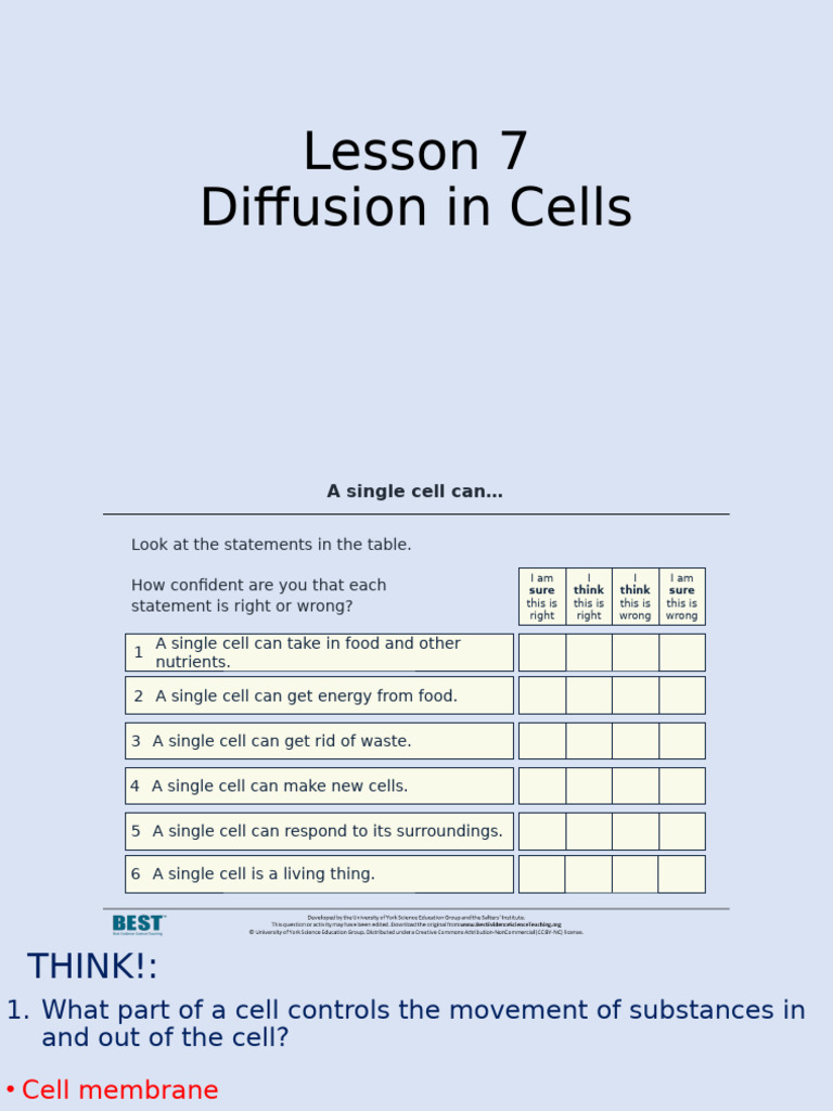 Lesson 7 Diffusion in Cells 1 | PDF | Diffusion | Cell Membrane