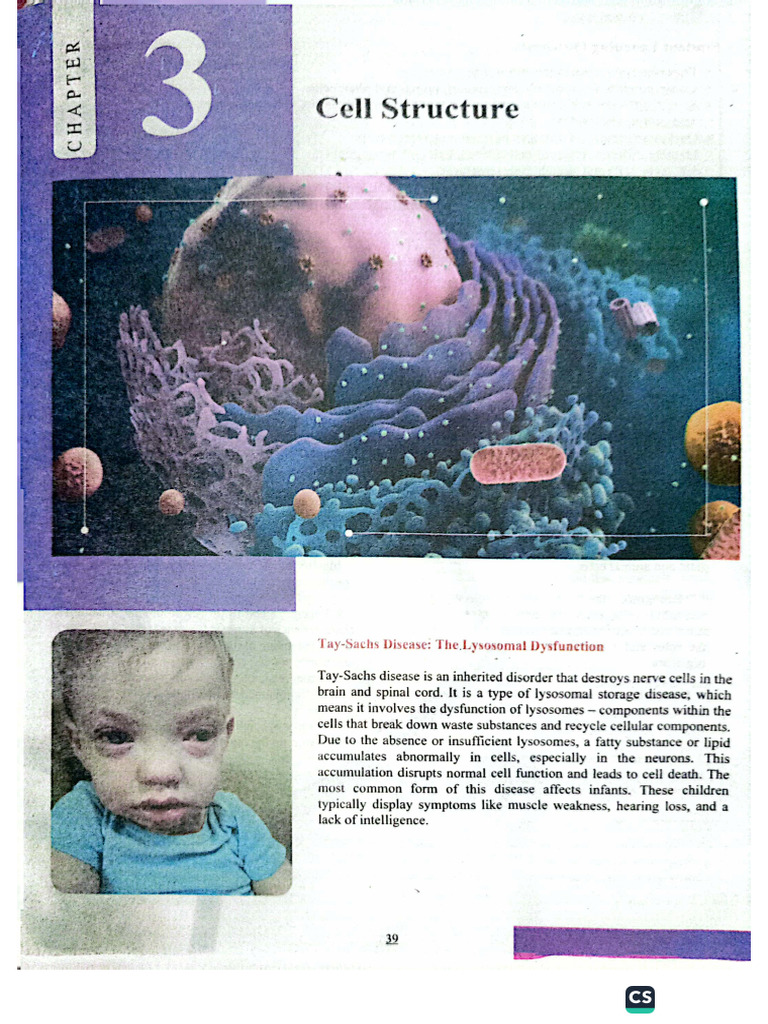 Biology Class9 Ch3 | PDF