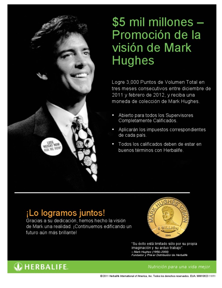 2011 5 Billion Mark Hughes Vision Flyer ES | PDF | Finanzas y dinero