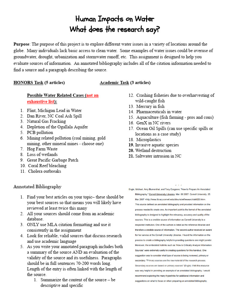 Human Impact On Water | PDF | Coral | Environmental Science