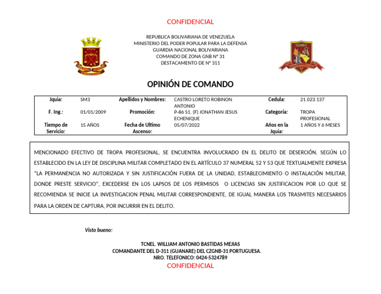 Opinión de Comando Retardados 4 | PDF