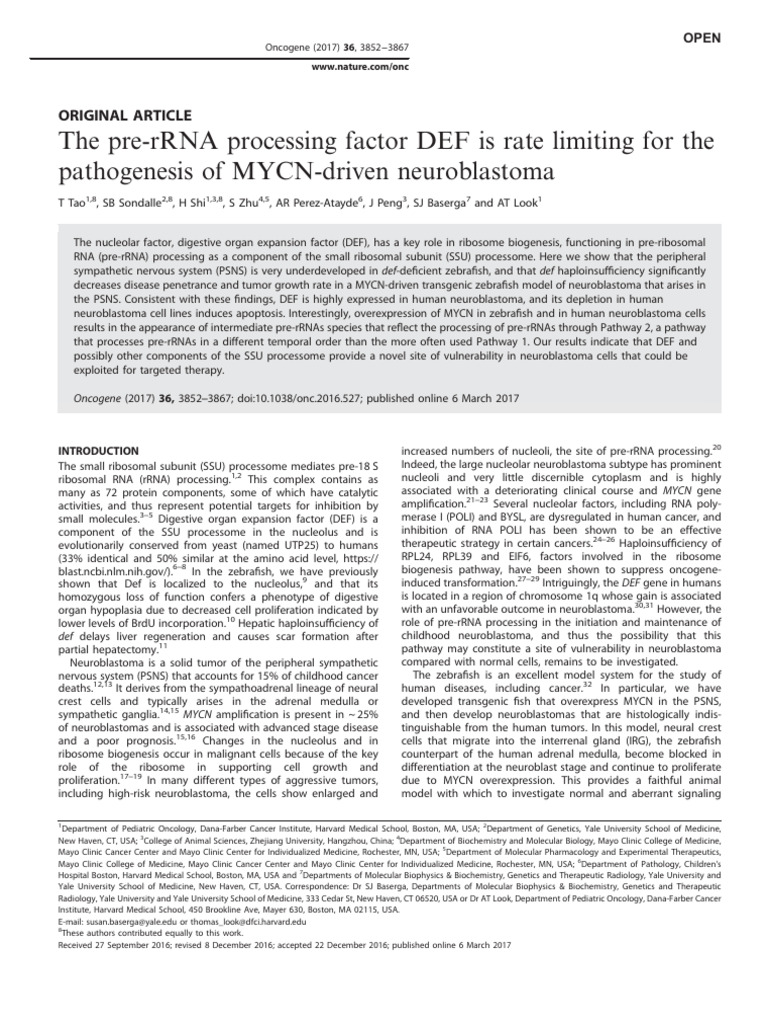 riobosome biogenesis | PDF | Ribosomal Rna | Gene Expression