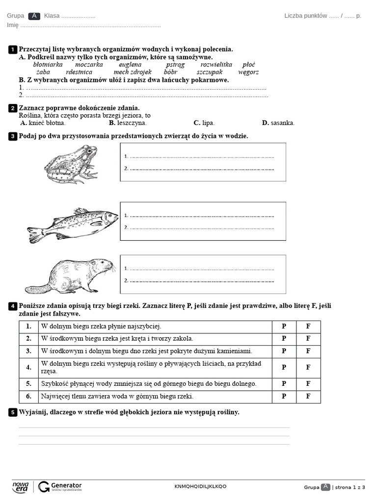 Test Po Dziale 8. Odkrywamy Tajemnice Życia W Wodzie I Na Lądzie ...