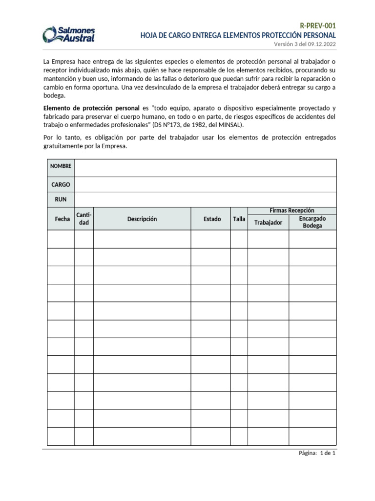 Hoja de Cargo Entrega EPP2 - 2 | PDF