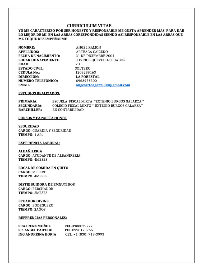 Curriculum Vitae Angel | PDF