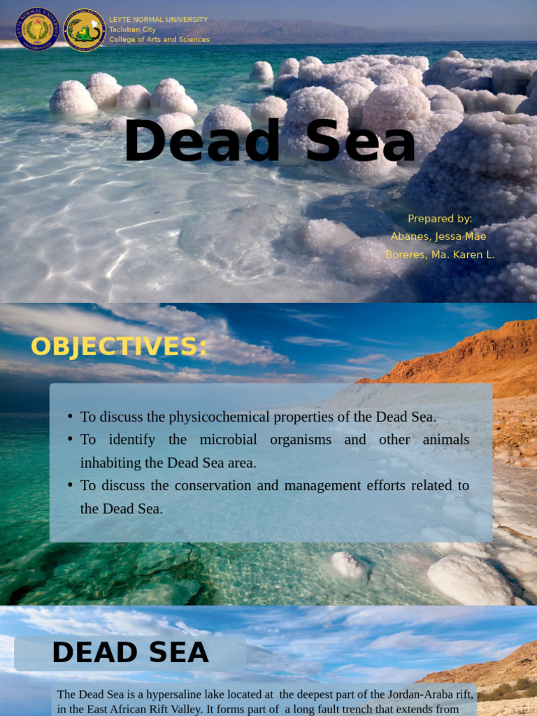 Dead Sea | PDF
