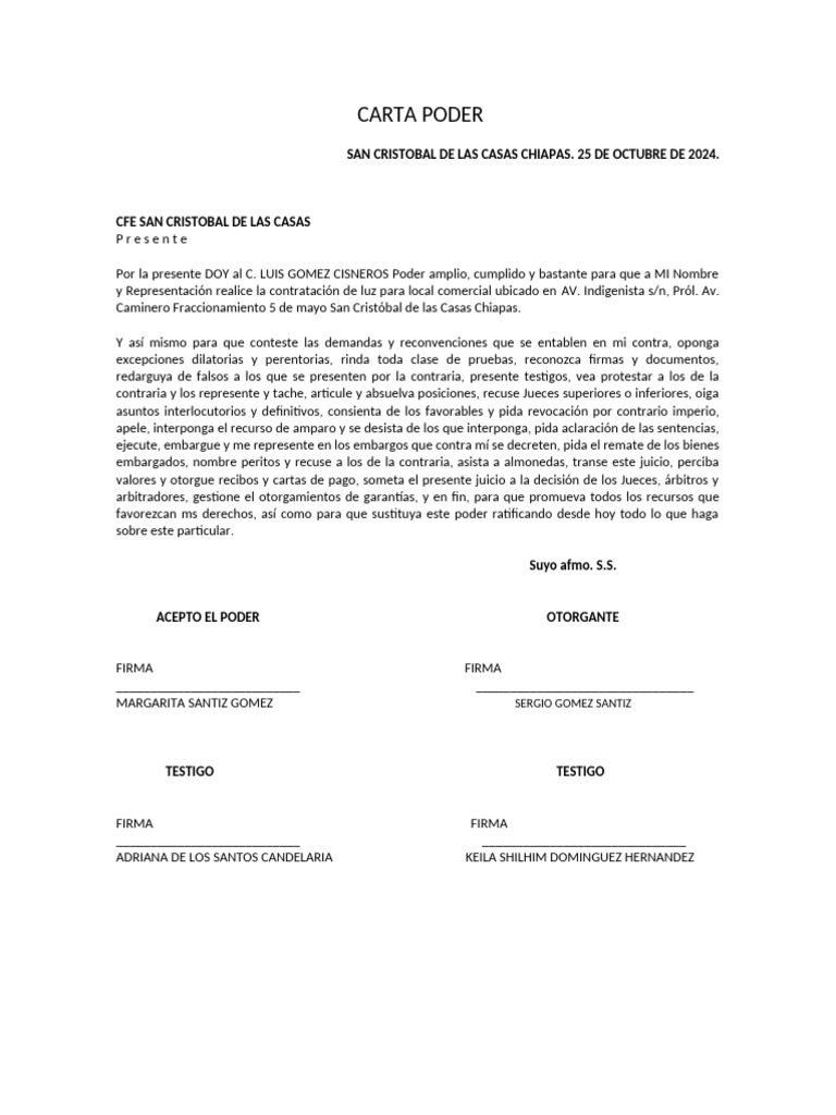 Formato Carta - Poder | PDF