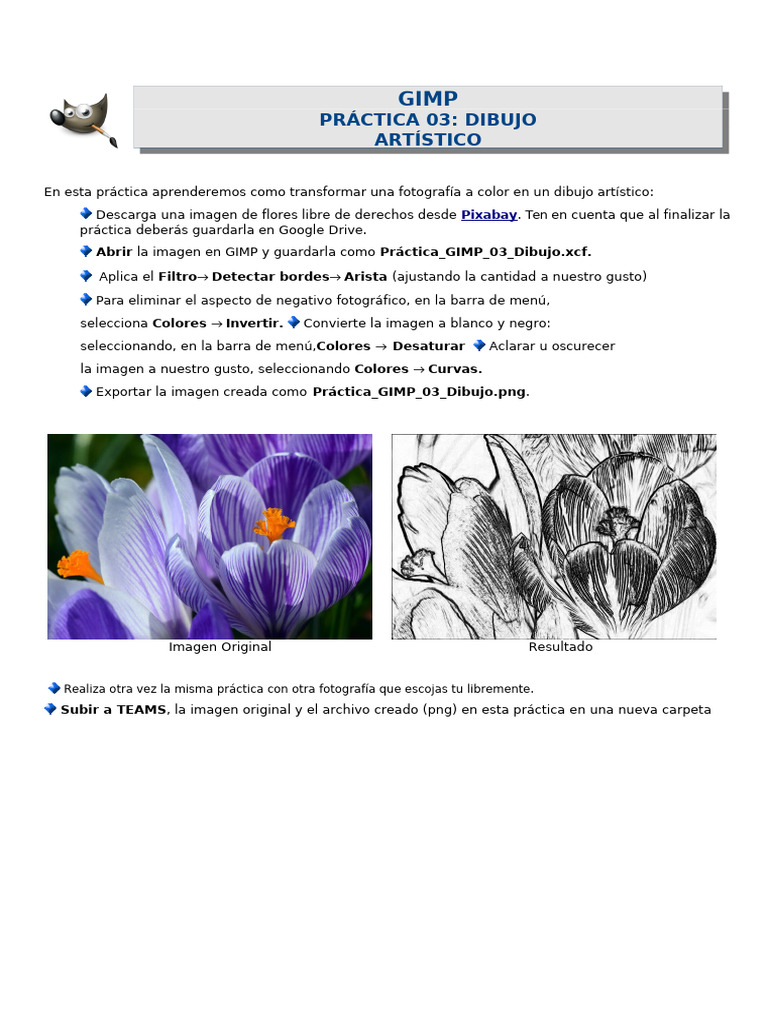 Práctica - 03 GIMP 2020 | PDF