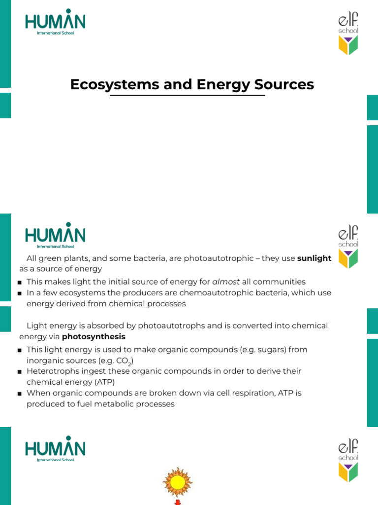 Ecosystems and Energy Sources - Google Slides | PDF | Food Web | Natural Environment