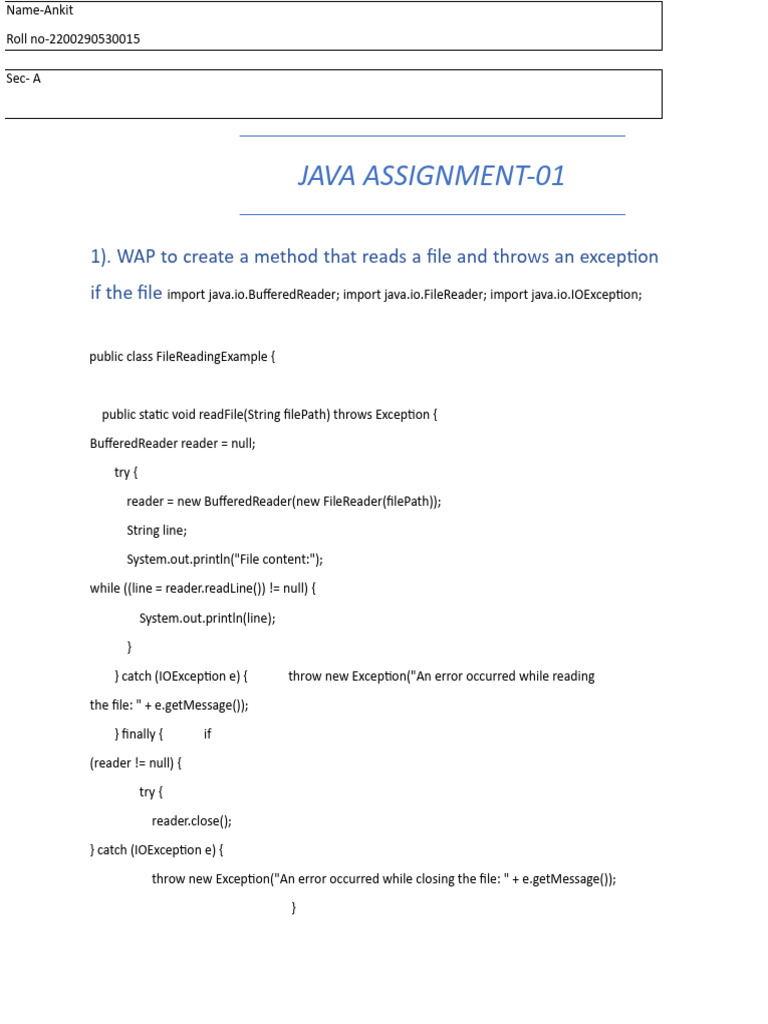 Java Assignment1 Pdf String Computer Science Programming Paradigms
