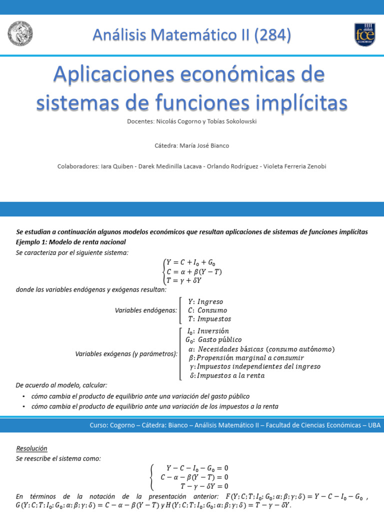 Aplic Econ de Sistemas de Funciones Implícitas | PDF | Matriz (Matemáticas) | Determinante