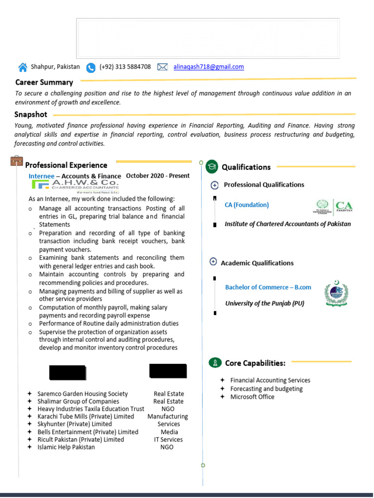 CV Ali Naqash | PDF | Banks | Accounting