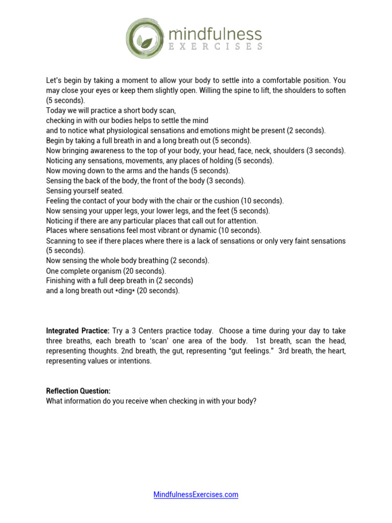 Body Scanq | PDF