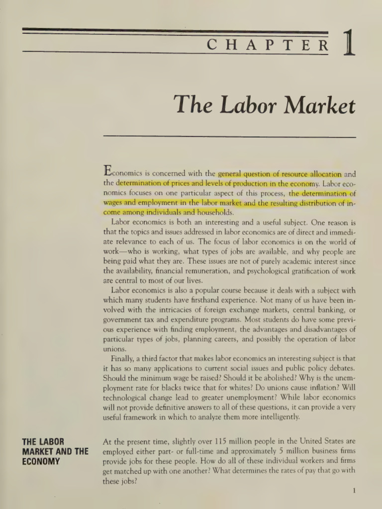 Labor Market Dynamics and Wage Determination | PDF | Labour Economics ...