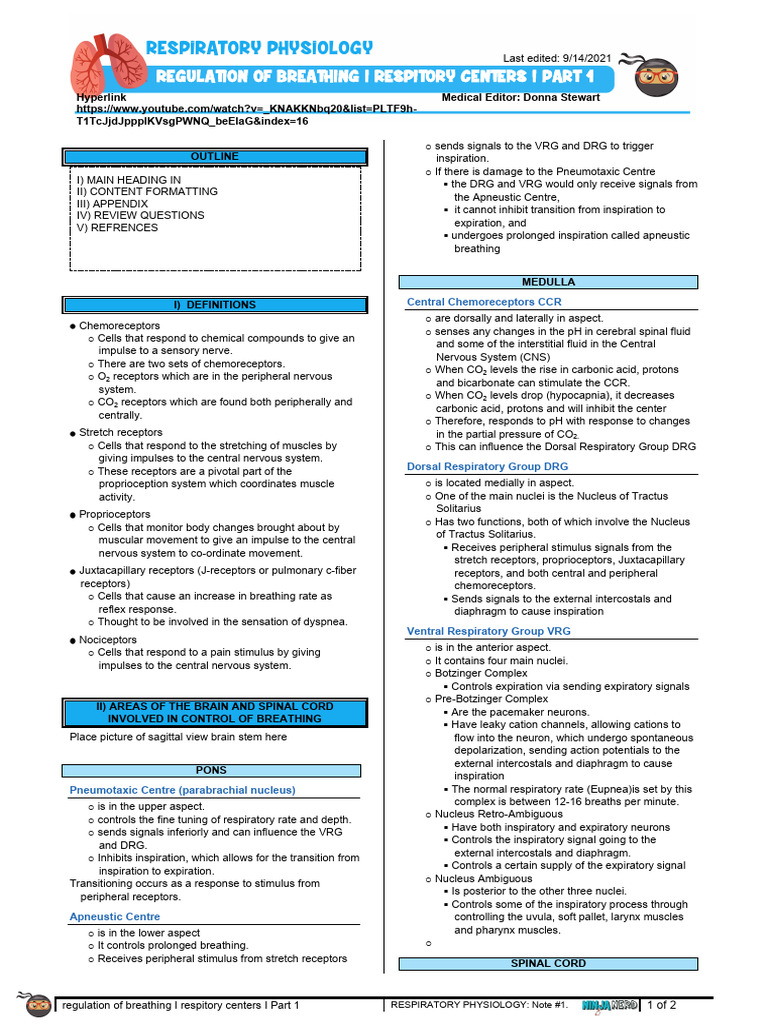 Breathing Regulation: Respiratory Centers | PDF | Neuroscience | Physiology