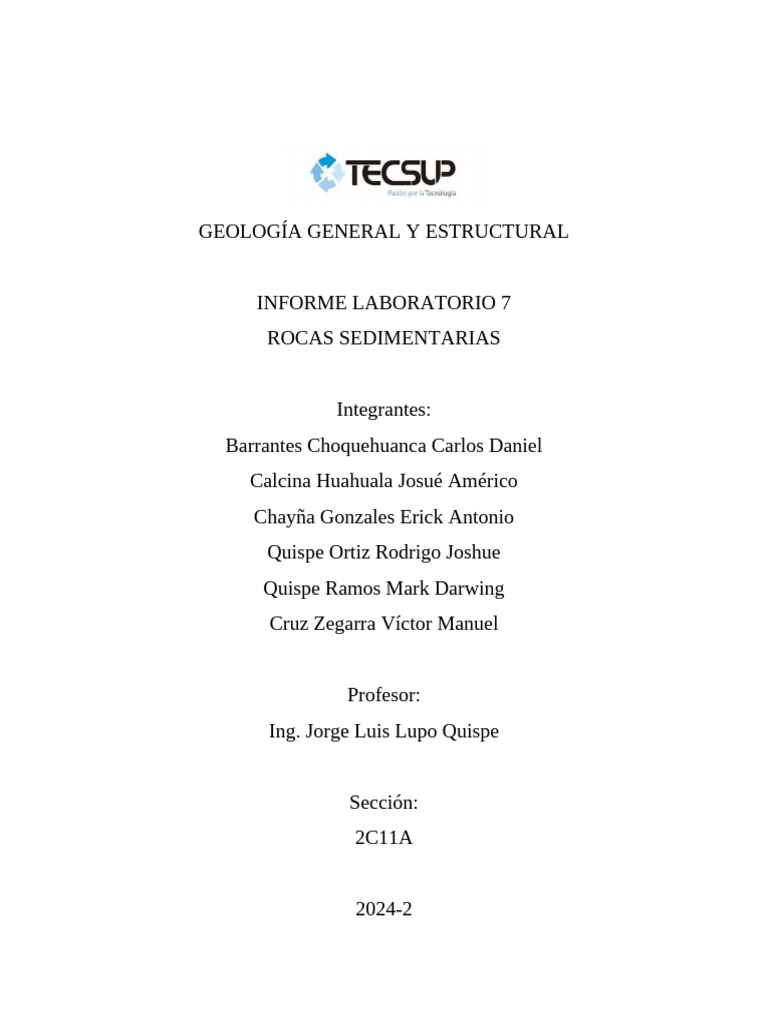 Laboratorio 7 - Rocas Sedimentarias | PDF | Roca clástica | Roca ...
