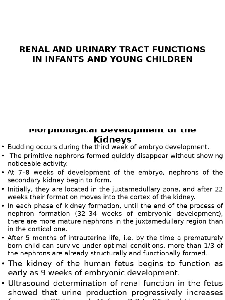 Renal and Urinary Tract Functions in Infants and | PDF | Kidney ...