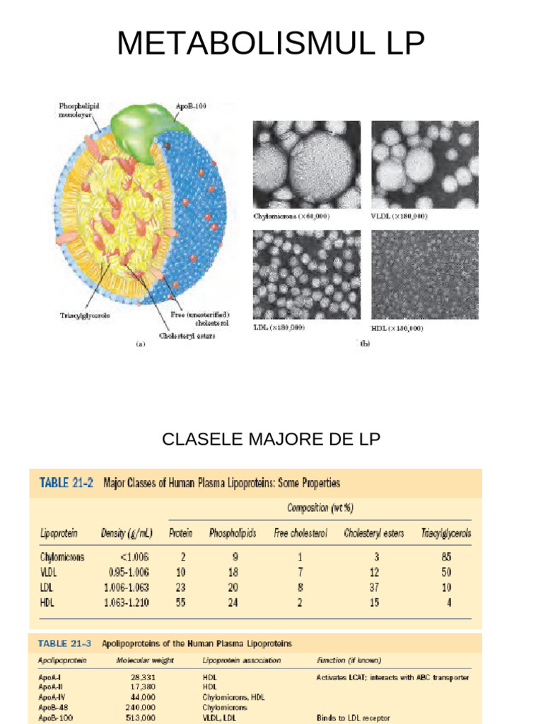 metab-lipoproteine | PDF