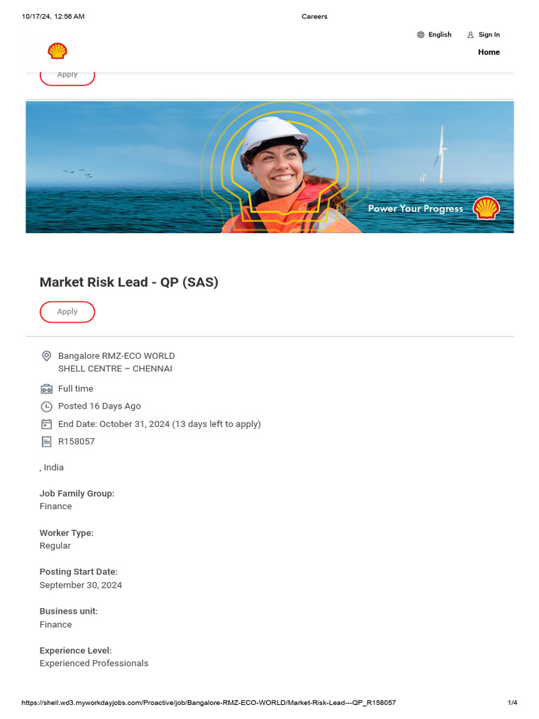 Shell JD | PDF | Risk | Analytics