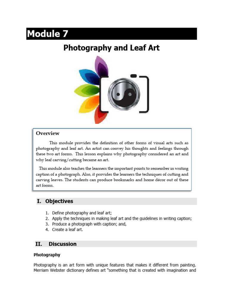 Arts 1100 Module 7 Photography Pdf Sentence Linguistics