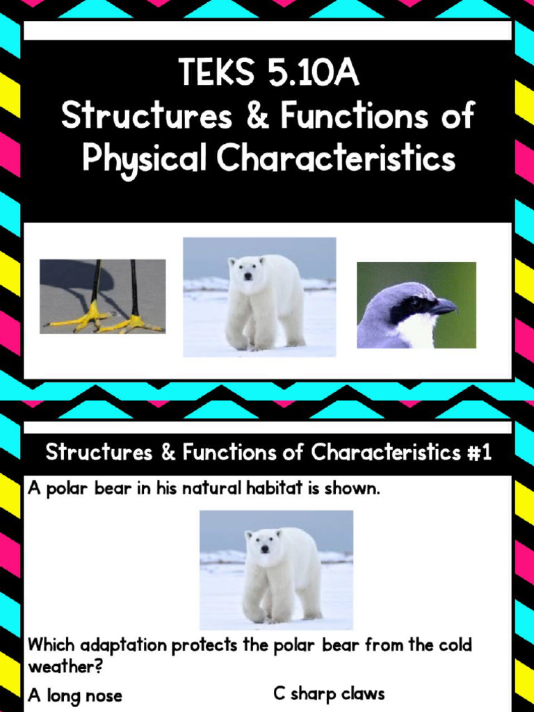 Structures and Functions of Characterisitcs Task Cards | PDF