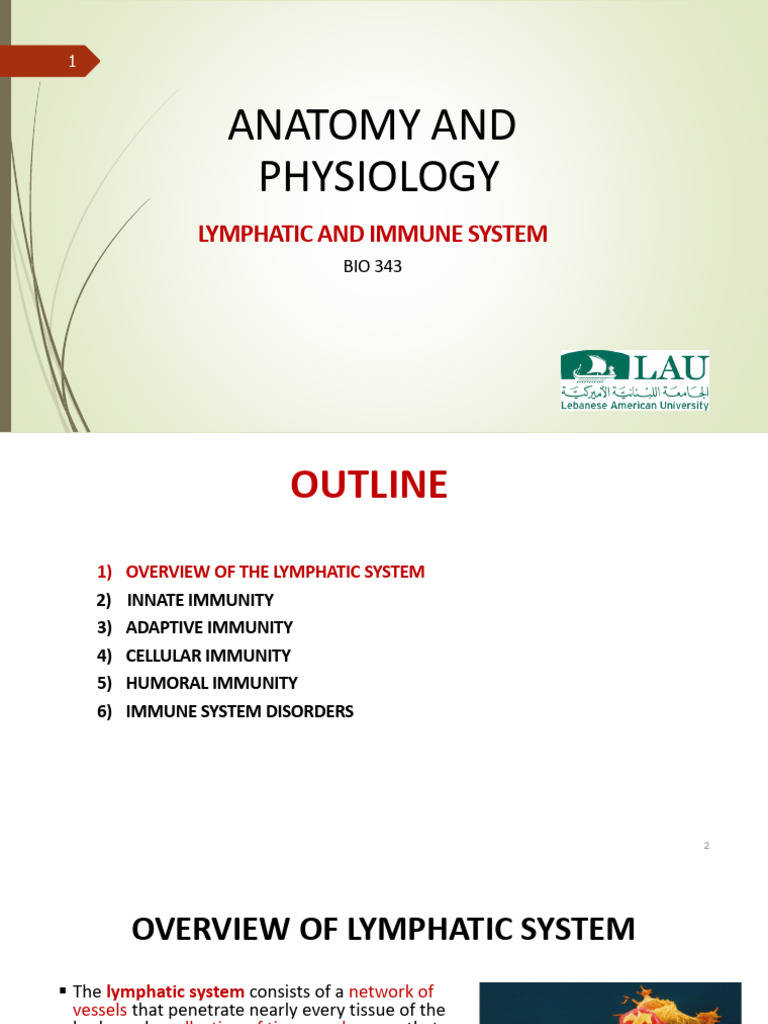 Chapter 10-Lymphatic and Immune System PDF | PDF | Lymphatic System | Immune System