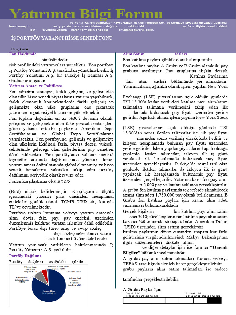 TMG - __ Portföy Yabanc_ Hisse Senedi Fonu-Yat_r_mc_ Bilgi Formu | PDF