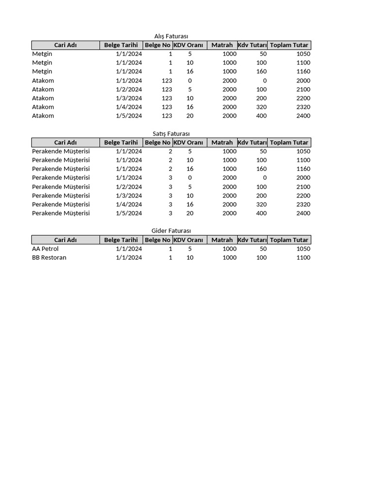 Ornek FaturaFormatı | PDF