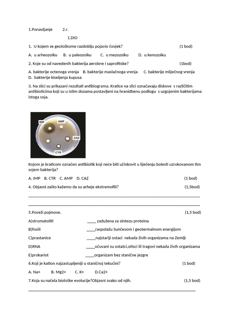 Ponavljanje 2 - C | PDF