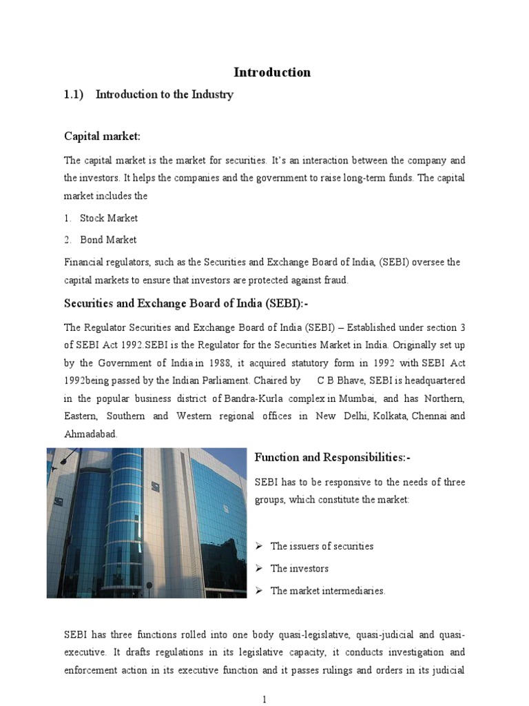 1.1) Introduction To The Industry | PDF | Securities (Finance) | Stocks