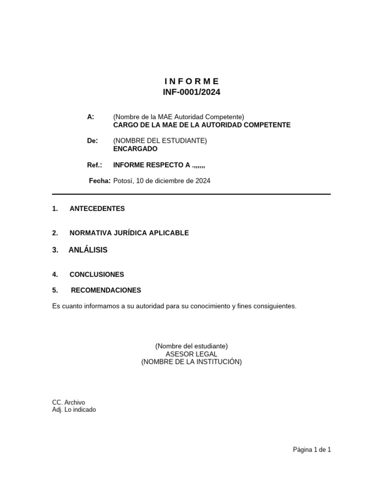 Modelo Informe | PDF