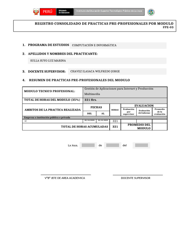 FPE-Registro Consolidado Por Modulo COMPLETO | PDF