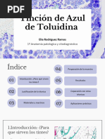 Técnicas Histológicas. Protocolos y Recetas. Azul de Toluidina (Plantas ...