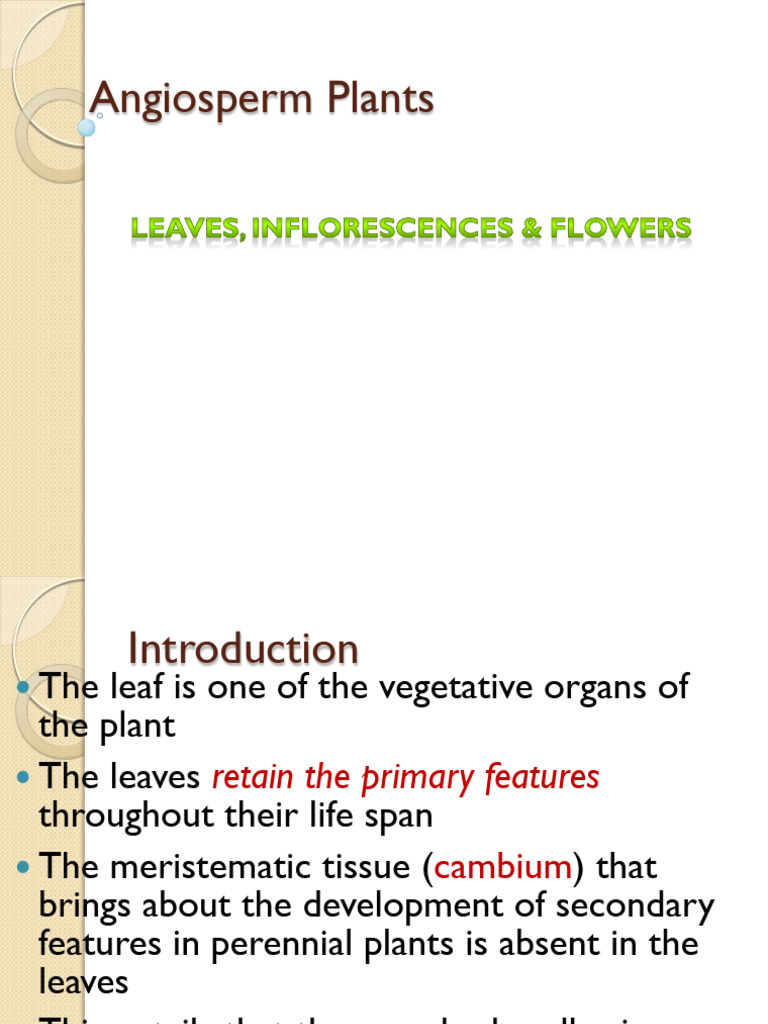 Lecture 27 - Angiosperm Plants Leaves, Inflorescences & Flowers | PDF | Leaf | Petal