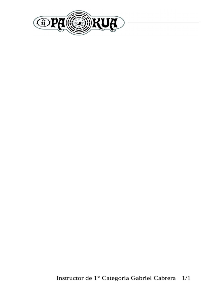 Formato Pakua para Informes! | PDF