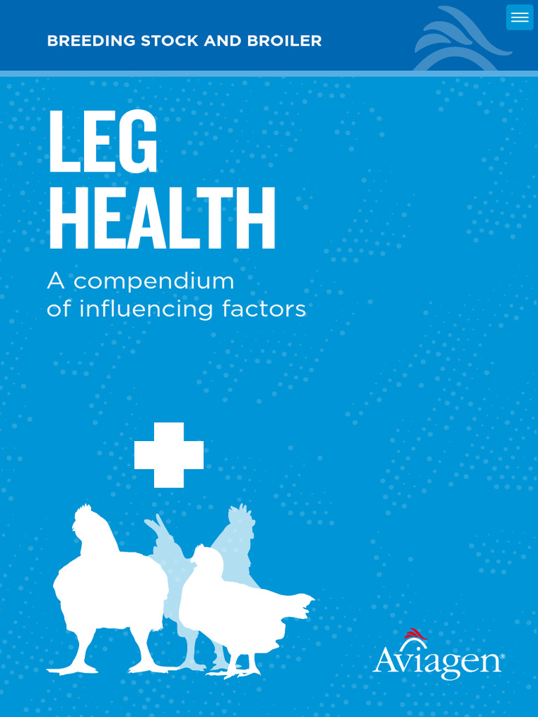 Leg Health in Broiler breeder and broiler | PDF | Gastrointestinal ...
