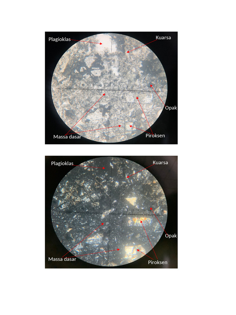 Mineral Fix | PDF