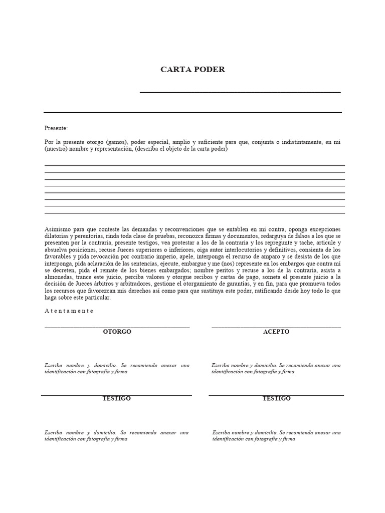 Formato Carta Poder | PDF