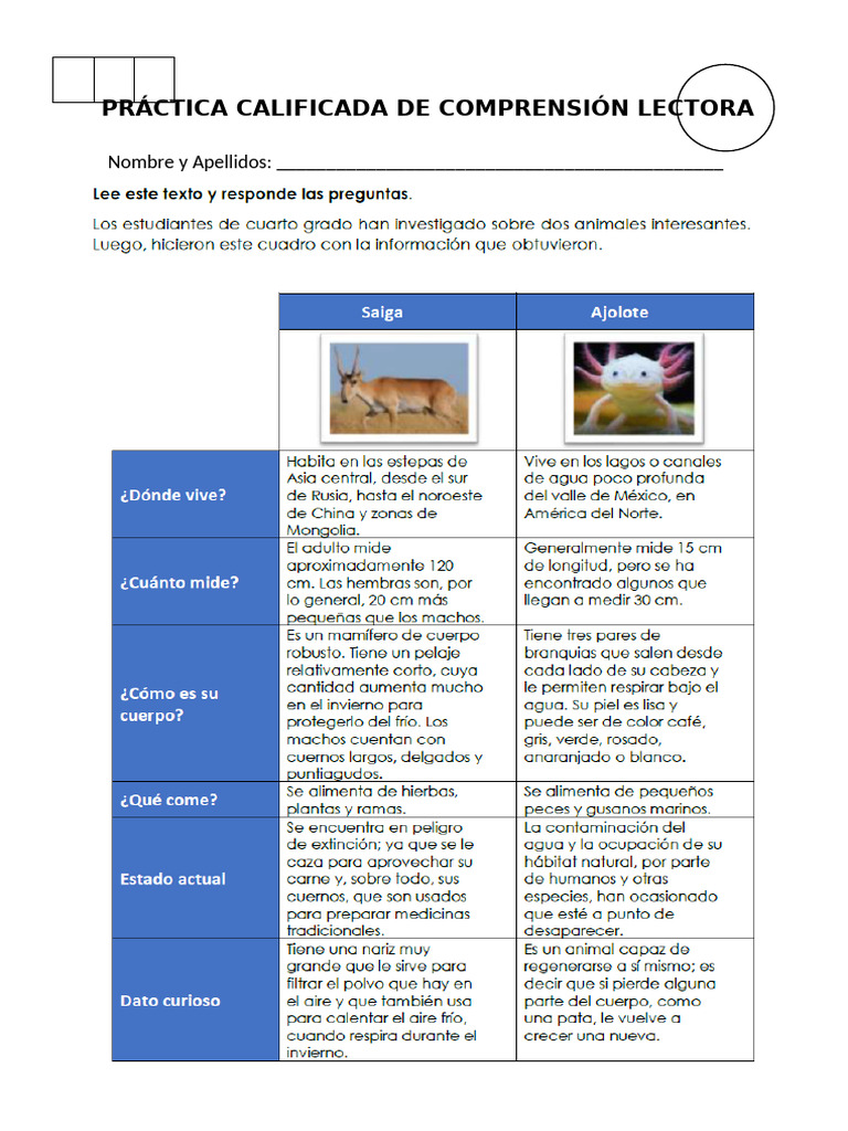 Práctica de Comprensión Lectora 9 | PDF