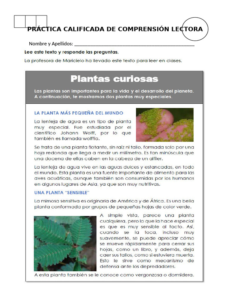Práctica de Comprensión Lectora 10 | PDF