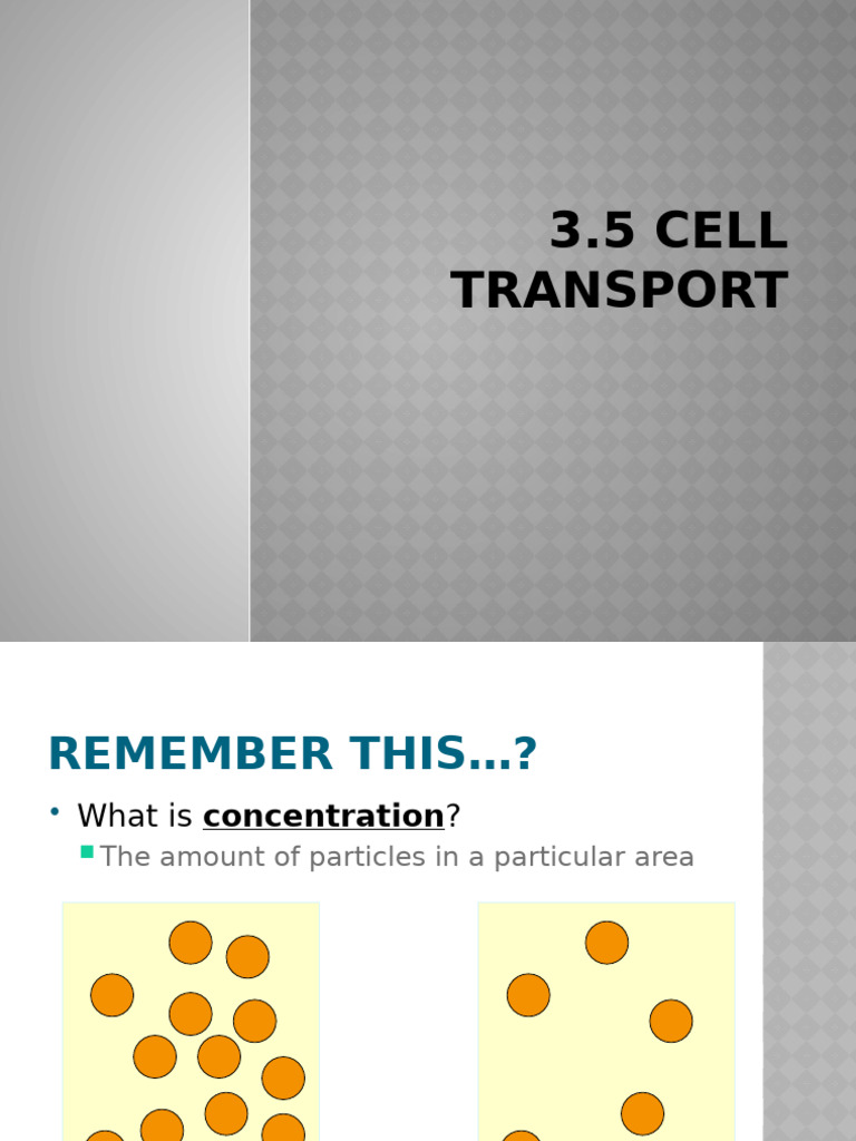 Cell Transport Notes (Student Copy) | PDF | Osmosis | Biotechnology
