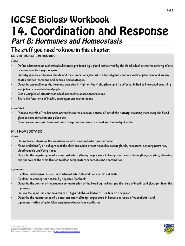 14.-Coordination-and-Response-Part-B | PDF | Hormone | Homeostasis