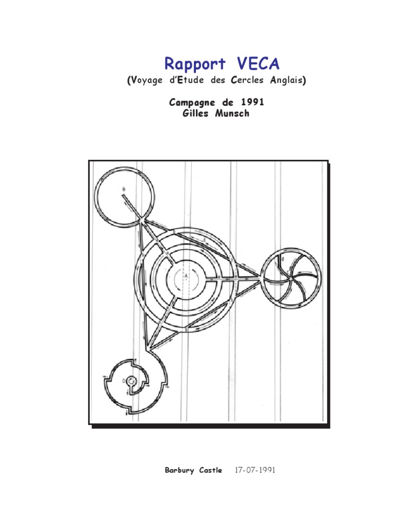 Rapport VECA | PDF | Sciences sociales