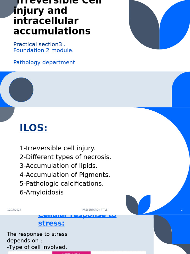 Patho Lap 2 Irreversible Cell injury+IC Accumulations | PDF | Necrosis ...