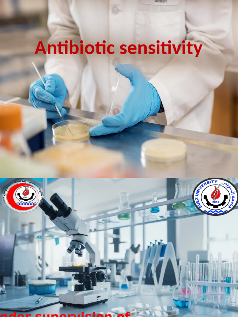 Antibiotic Sensitivity | PDF | Life Sciences | Health Sciences