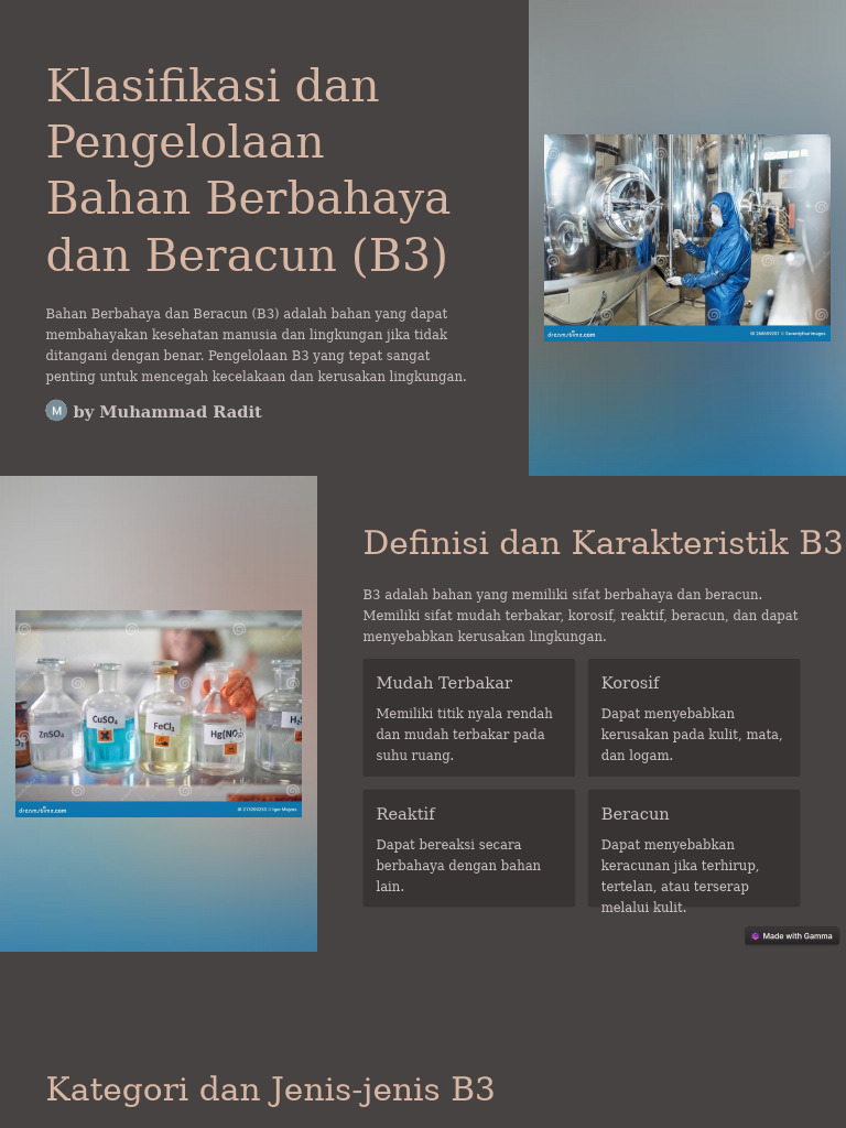 Klasifikasi B3 Ipas -Radit | PDF