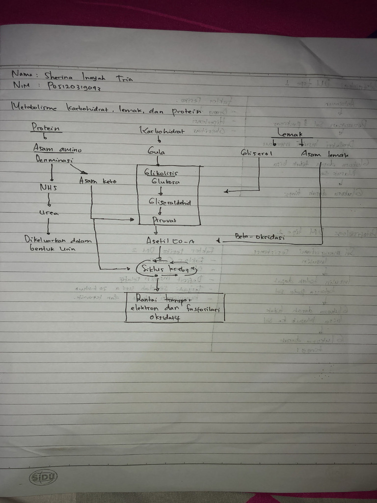 43. SHERINA INAYAH TRIA | PDF