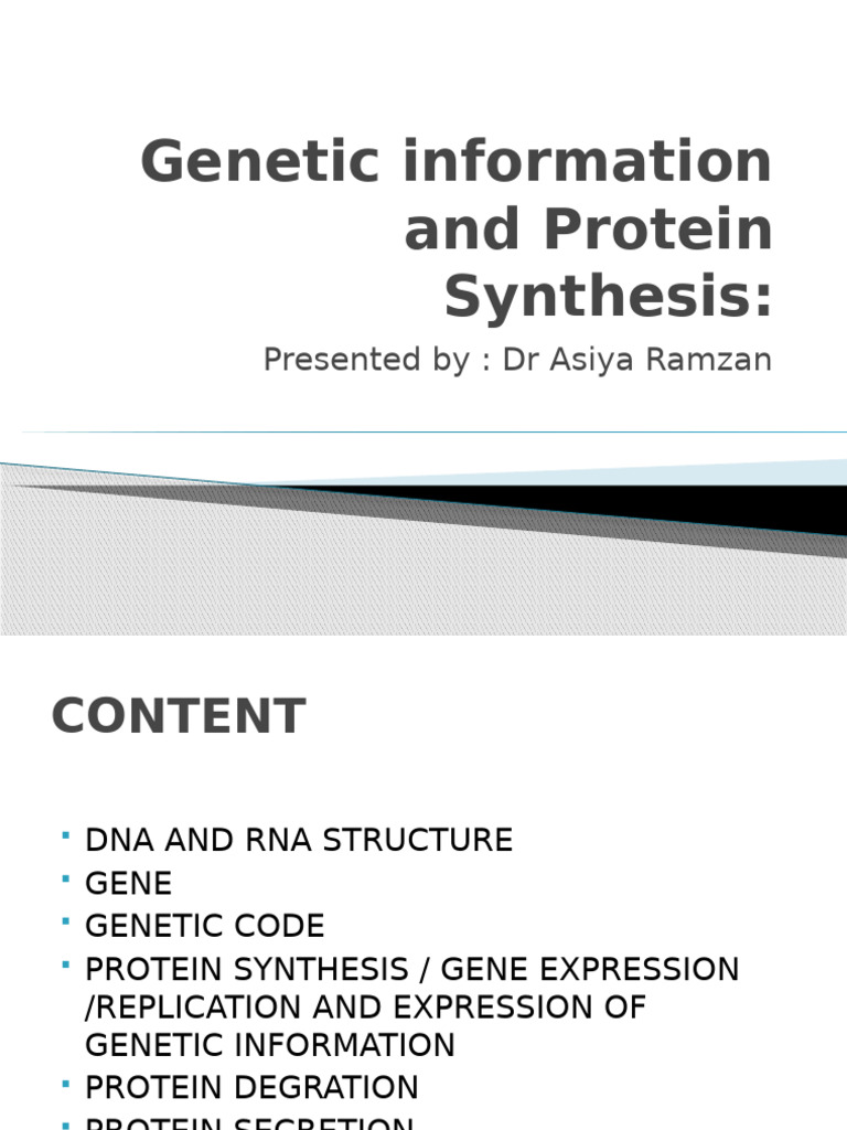 DNA and RNA: Protein Synthesis Overview | PDF | Rna | Dna