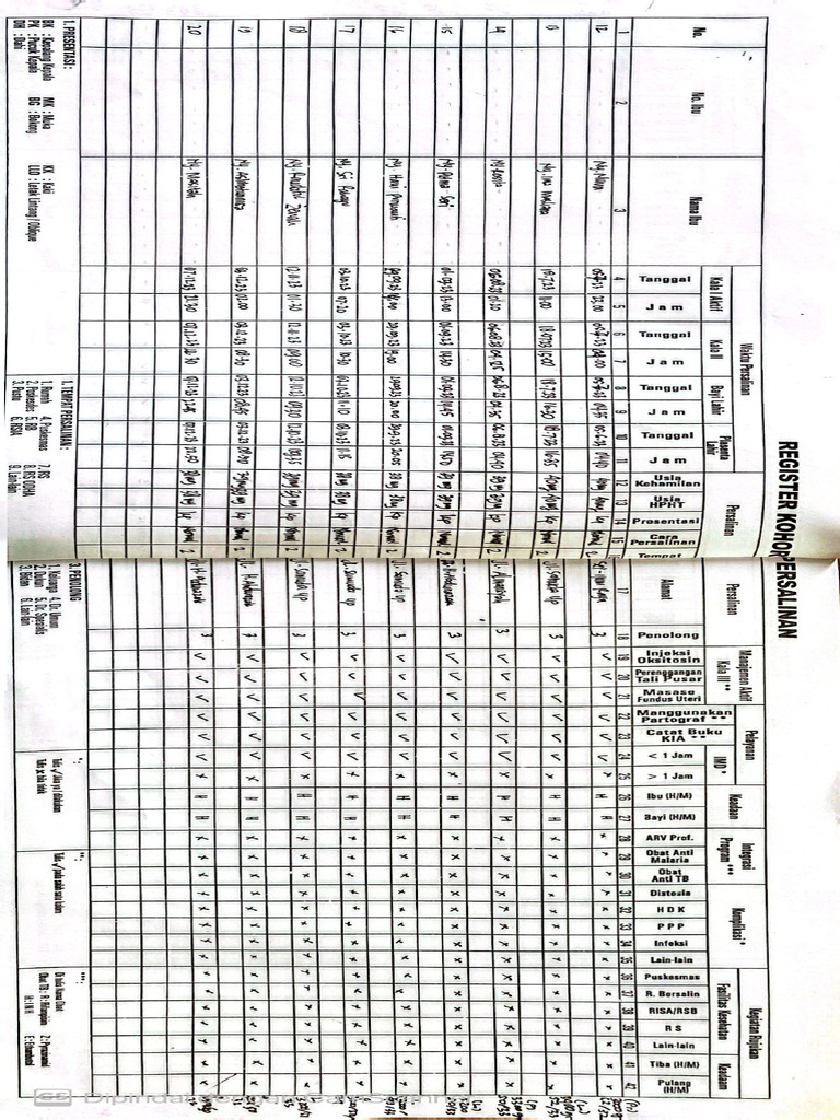register persalinan des (1) | PDF